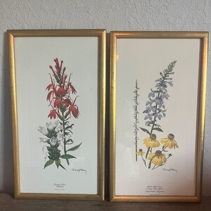 Wildlife Late Summer and Fall Wildflowers Set of 2 Framed Prints Ray ...
