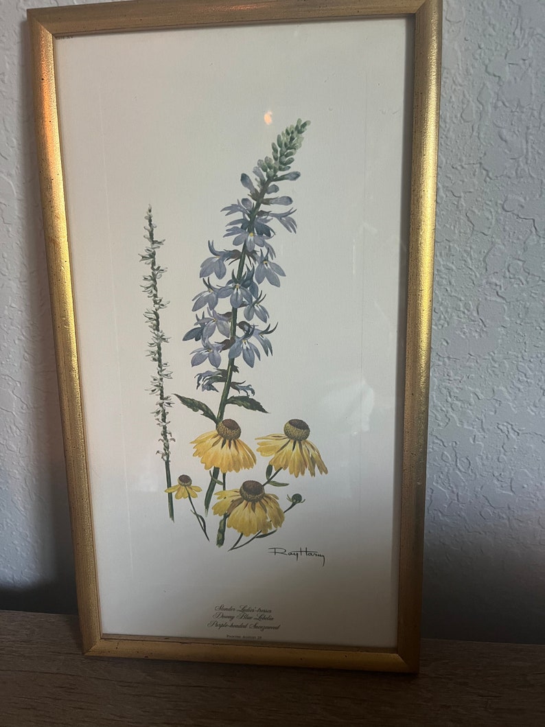 Wildlife Late Summer and Fall Wildflowers Set of 2 Framed Prints Ray ...