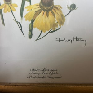 Wildlife Late Summer and Fall Wildflowers Set of 2 Framed Prints Ray ...