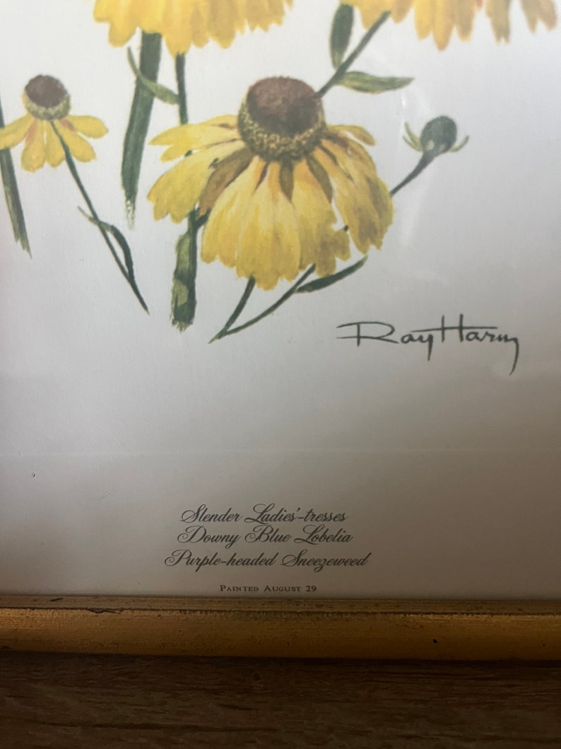 Wildlife Late Summer and Fall Wildflowers Set of 2 Framed Prints Ray ...