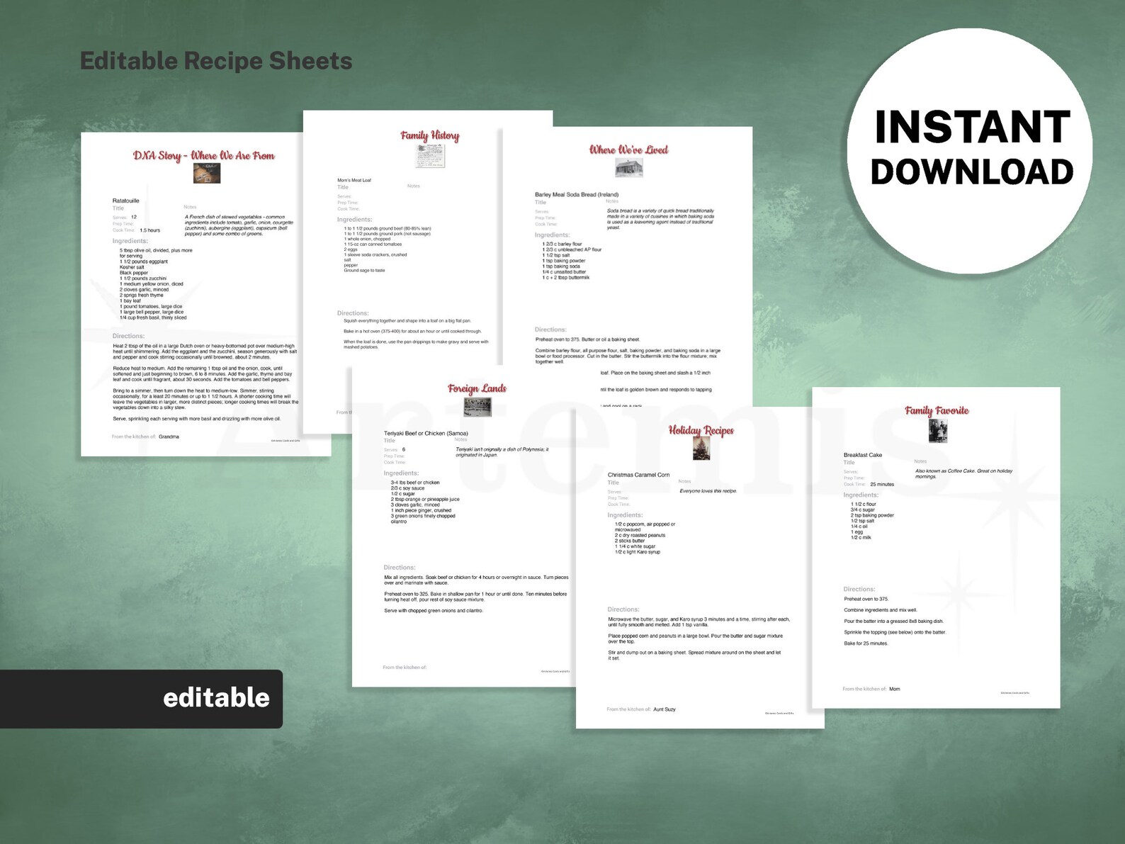 Editable Family Recipe Book Template, Printable Recipe Binder (8.5x11 ...