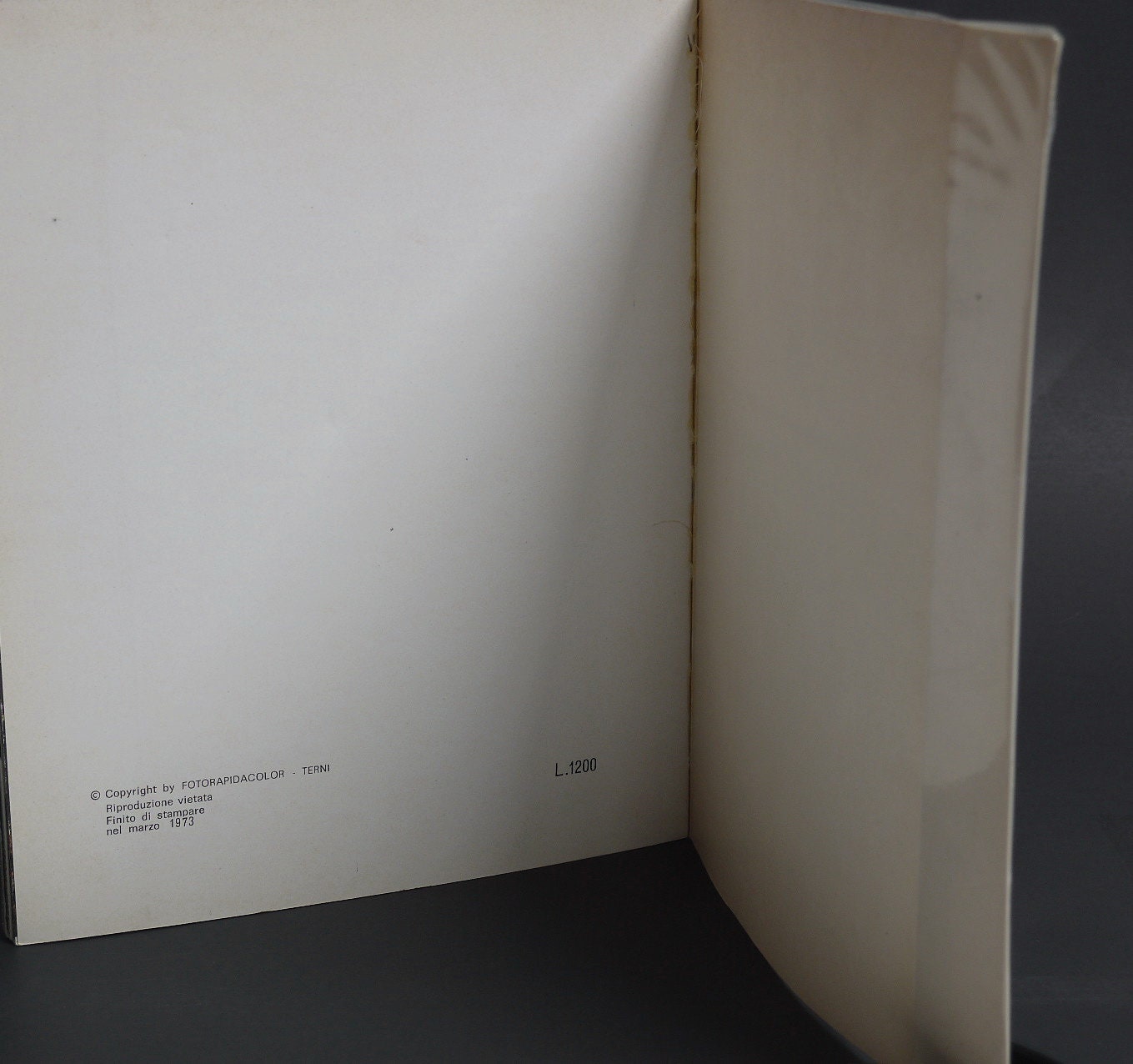 Loretta Santini the Island of Capri Fotorapidacolor 1973 Book - Etsy