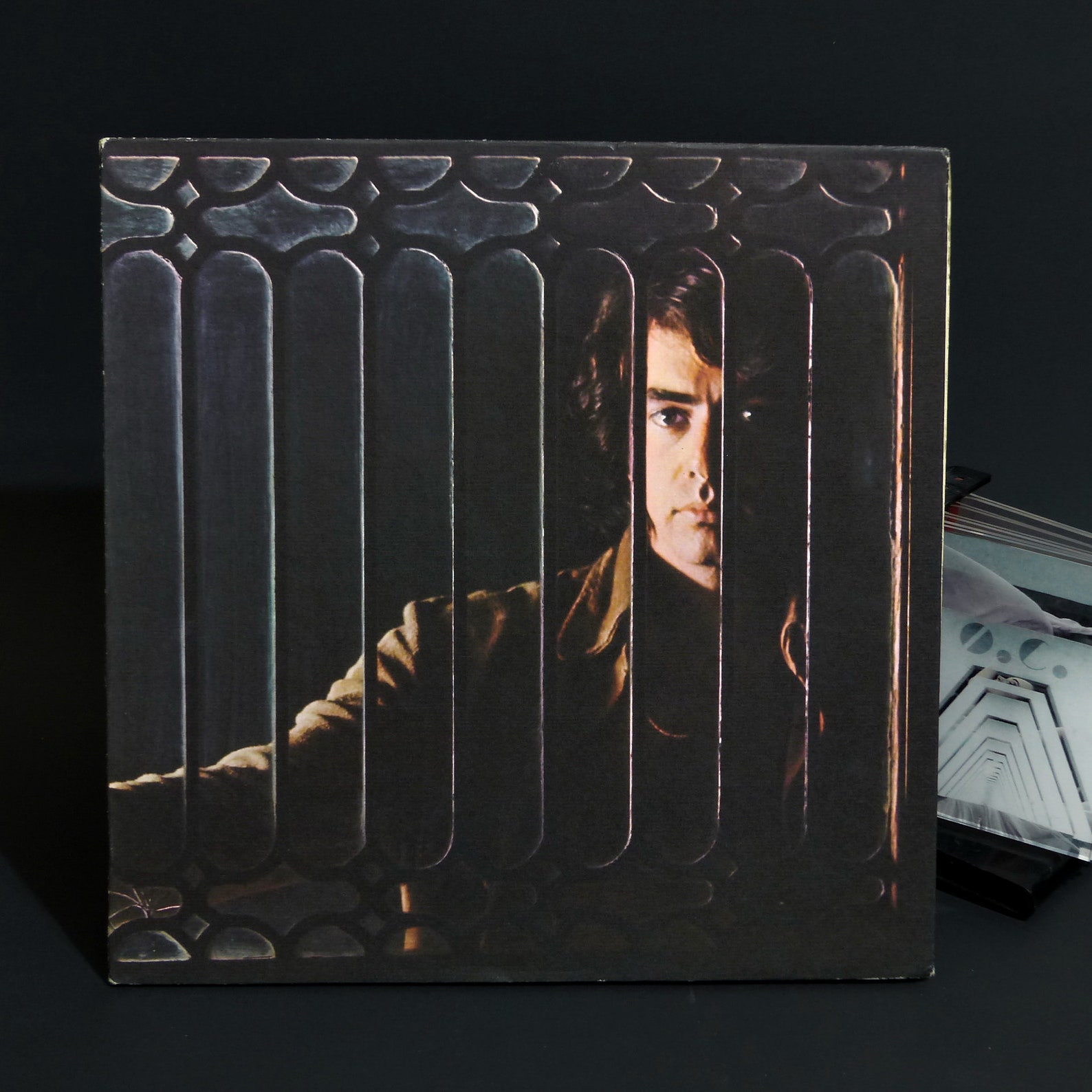 Neil Diamond Tap Root Manuscript UNI 73092 Gatefold LP - Etsy