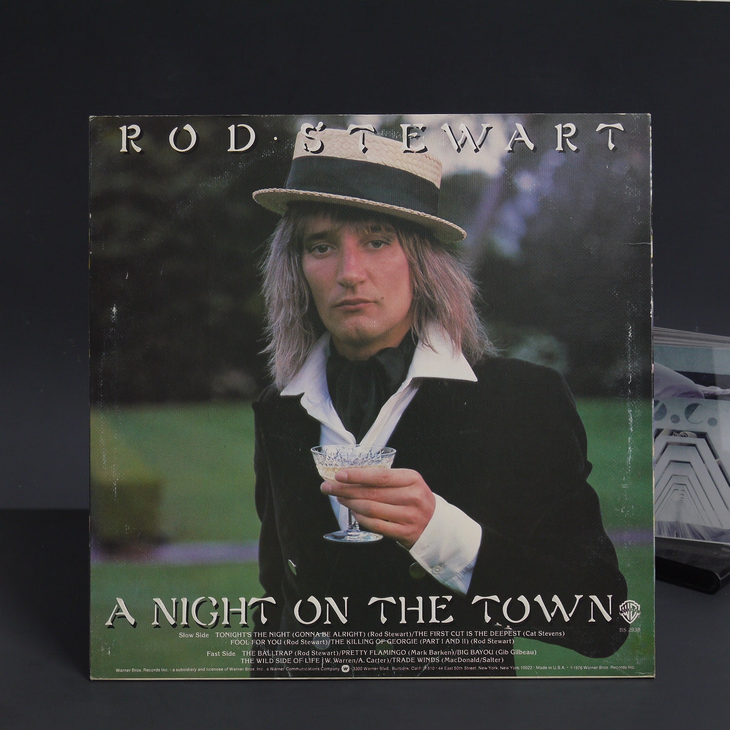 Rod Stewart A Night on the Town LP - Etsy