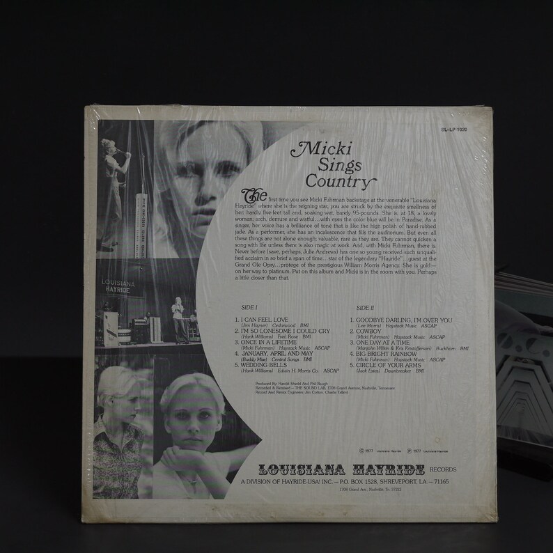 Rare Micki Fuhrman Micki Sings Country SL-LP-1020 - Etsy