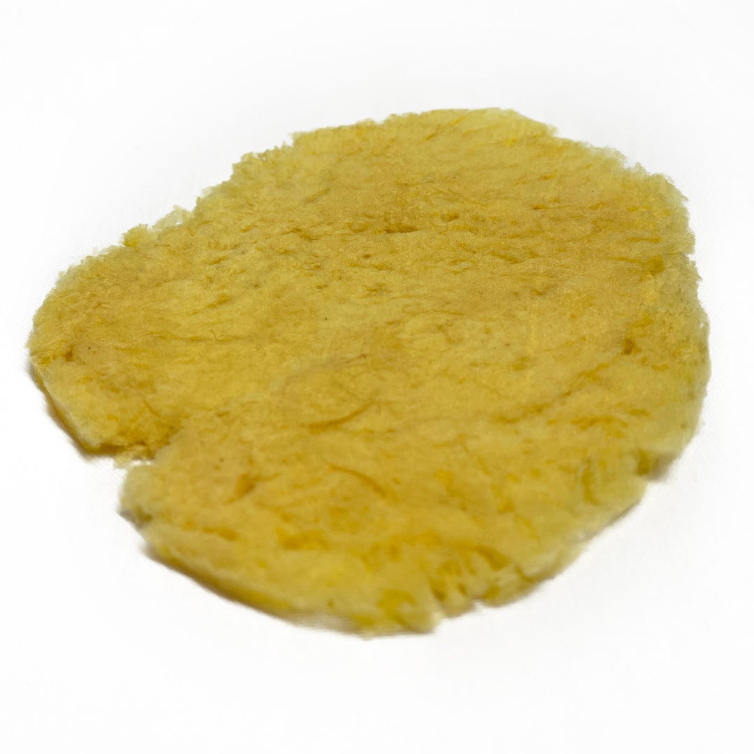 Priest's Natural Sponge for Antimension | Sponge for Thronos Altar ...