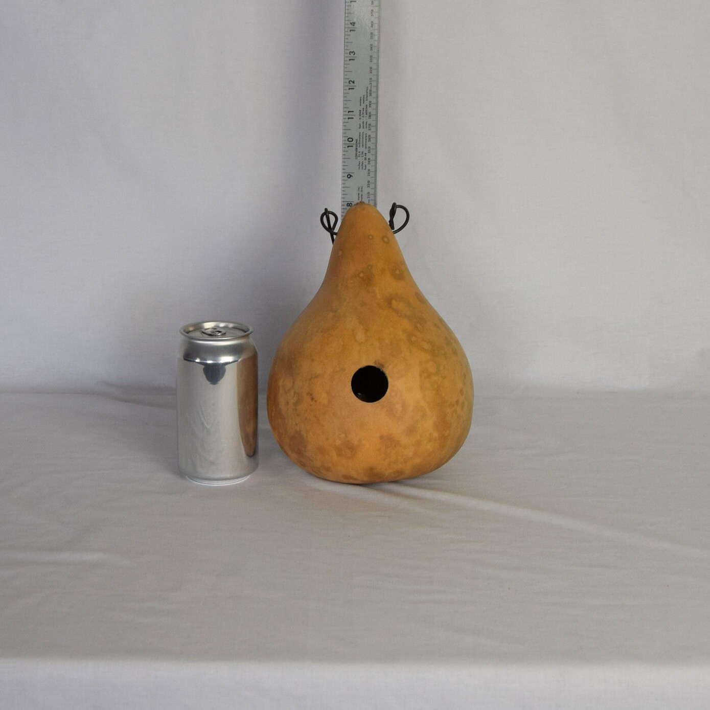 Unfinished Gourd Birdhouse With Hook - Dried and Cleaned for Crafting ...