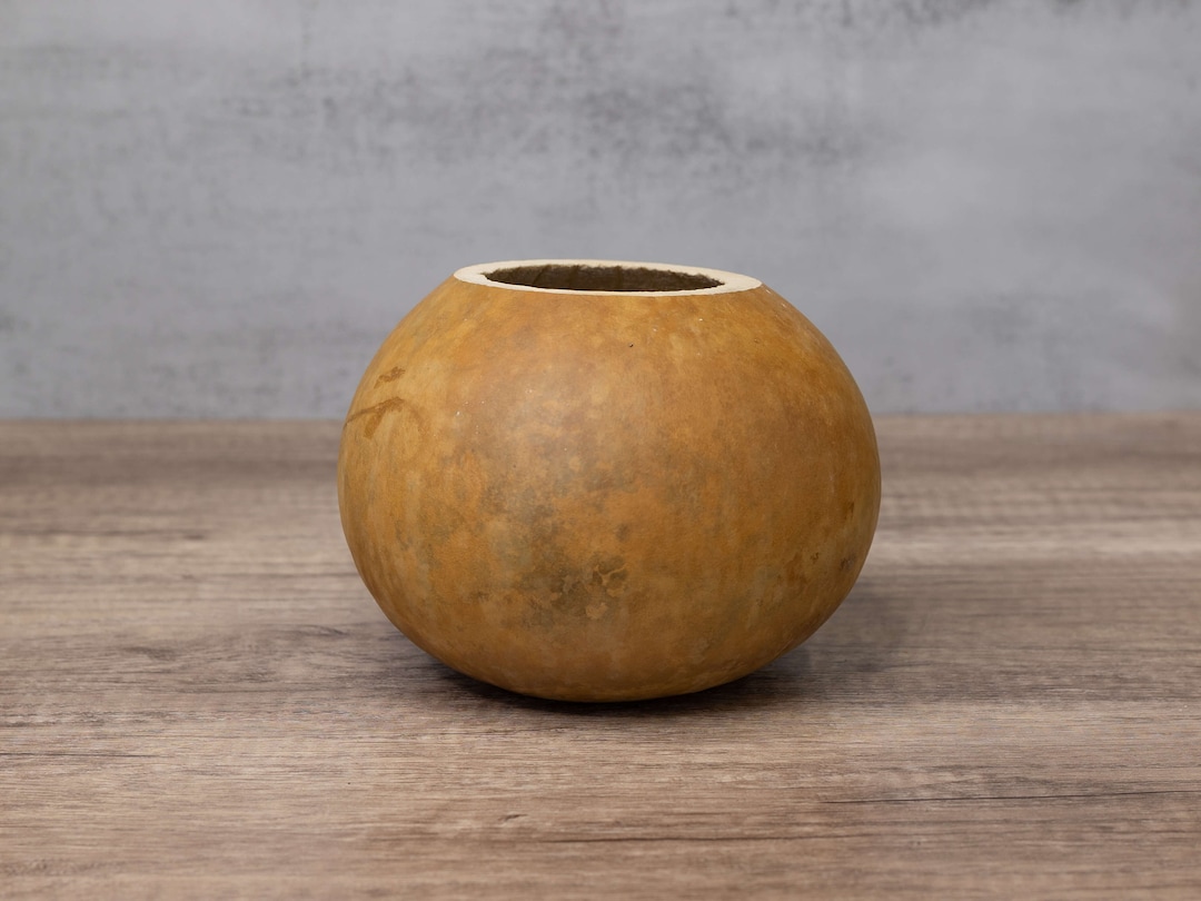 Hard Shell Gourd Bowl - 6" in Diameter, Made From a Cleaned and Dried ...