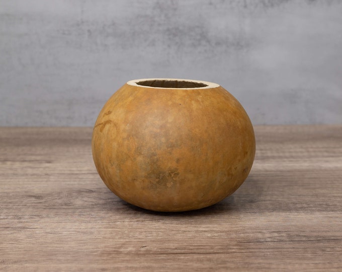 Hard Shell Gourd Bowl - 6" in Diameter, Made From a Cleaned and Dried ...