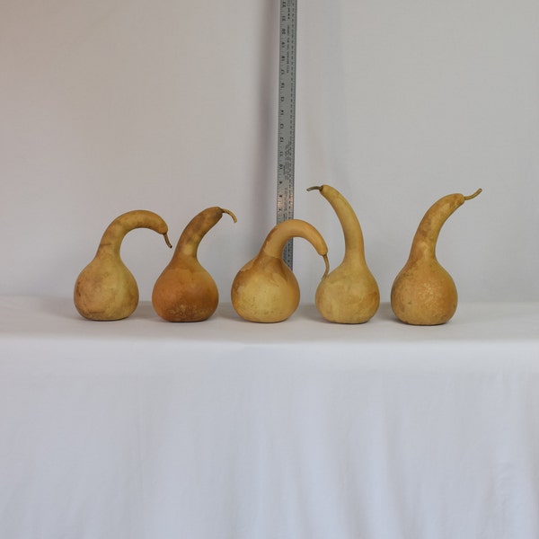 Painted Gourds - Etsy