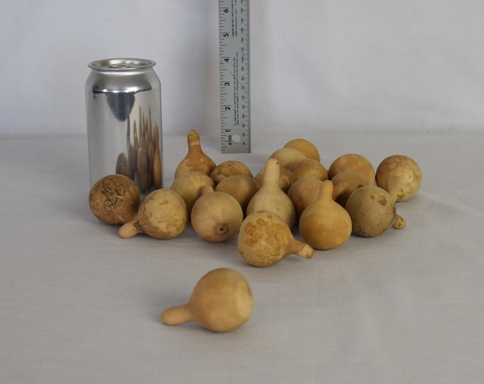 10 Small Martin Gourds 2 Diameter, Dried Gourds for Crafts and Decor - Etsy
