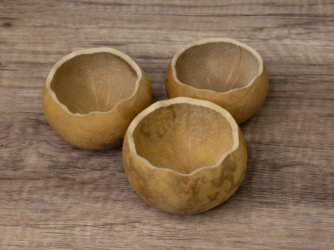Box of 3 Gourd Bowls - 3" in Diameter With Scalloped-cut Top, for ...
