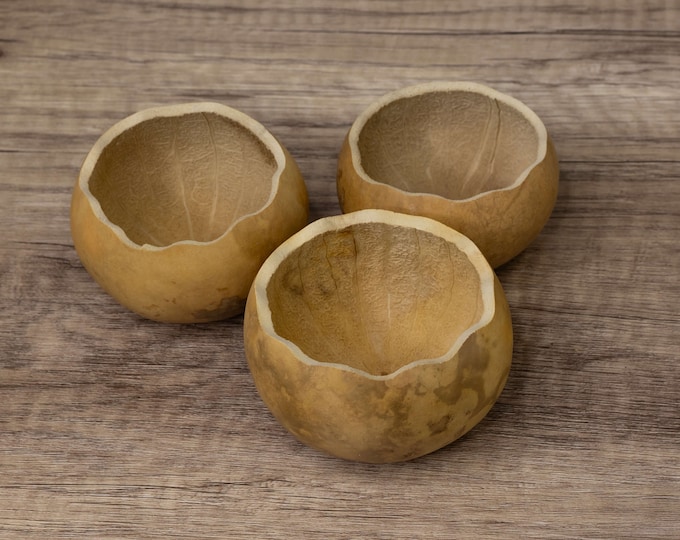 Hard Shell Gourd Bowl - 6" in Diameter, Made From a Cleaned and Dried ...