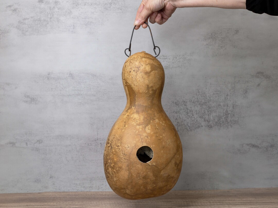 Unfinished Gourd Birdhouse With Hook - Dried and Cleaned for Crafting ...