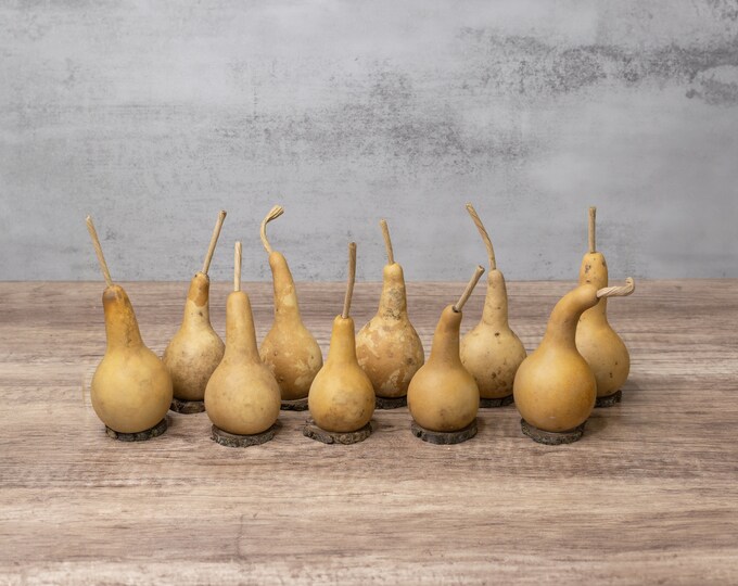 10 Dried Dipper Gourds - 2" Diameter With Wood Biscuit Bases - Etsy