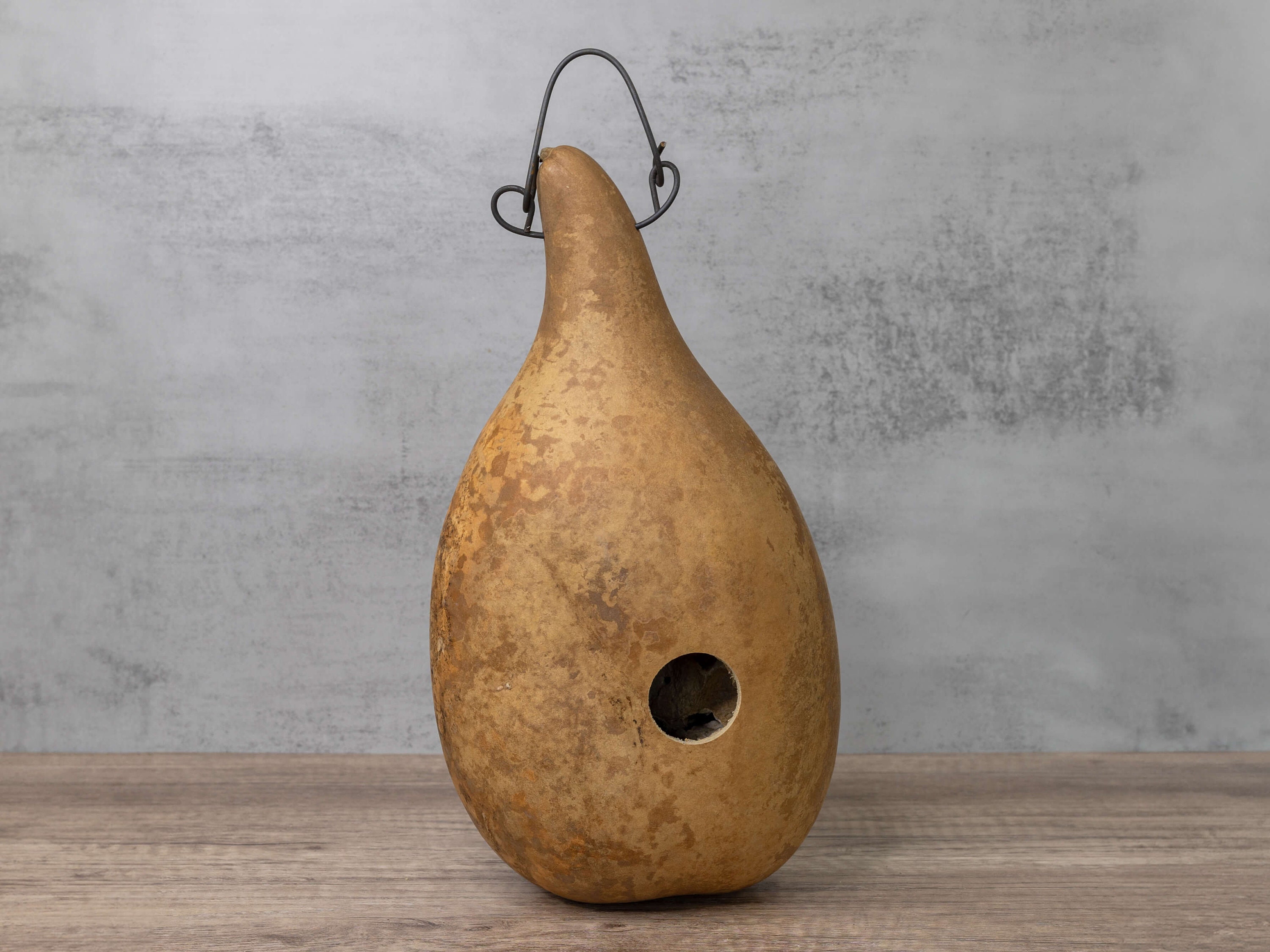 Unfinished Gourd Birdhouse With Hook - Dried and Cleaned for Crafting ...