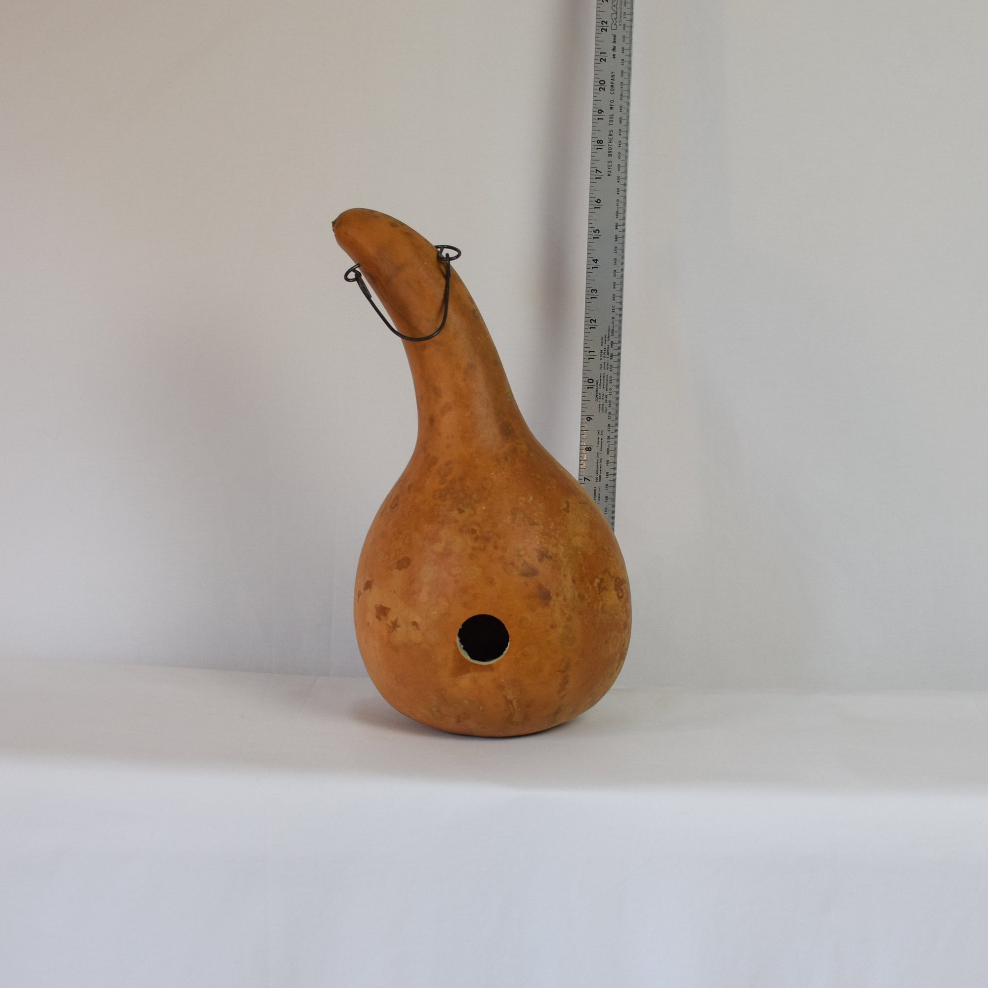Unfinished Gourd Birdhouse With Hook - Dried and Cleaned for Crafting ...