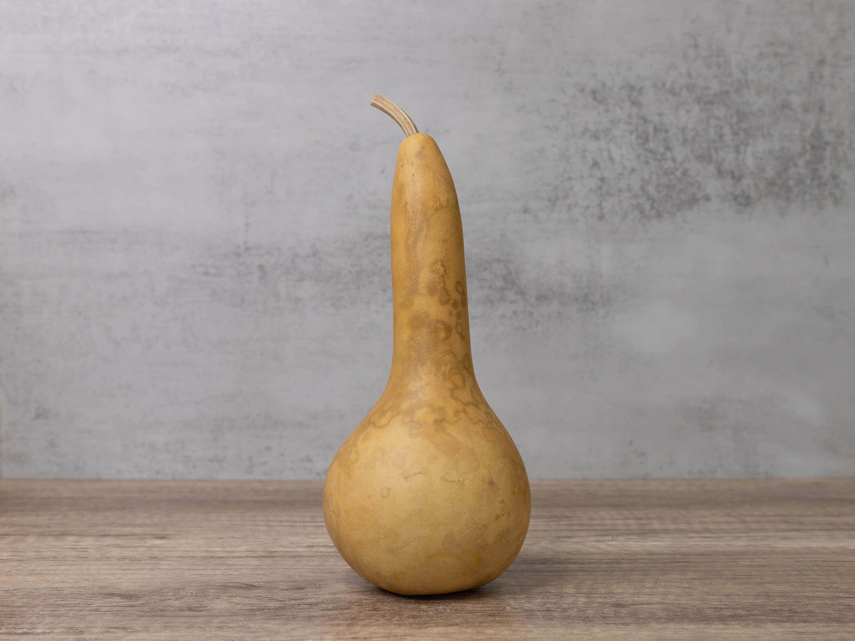 5 Dipper Gourds (3.5" Diameter) - Dried Gourds for Crafts and ...