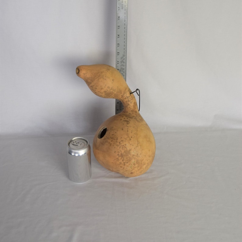 Unfinished Gourd Birdhouse With Hook - Dried and Cleaned for Crafting ...