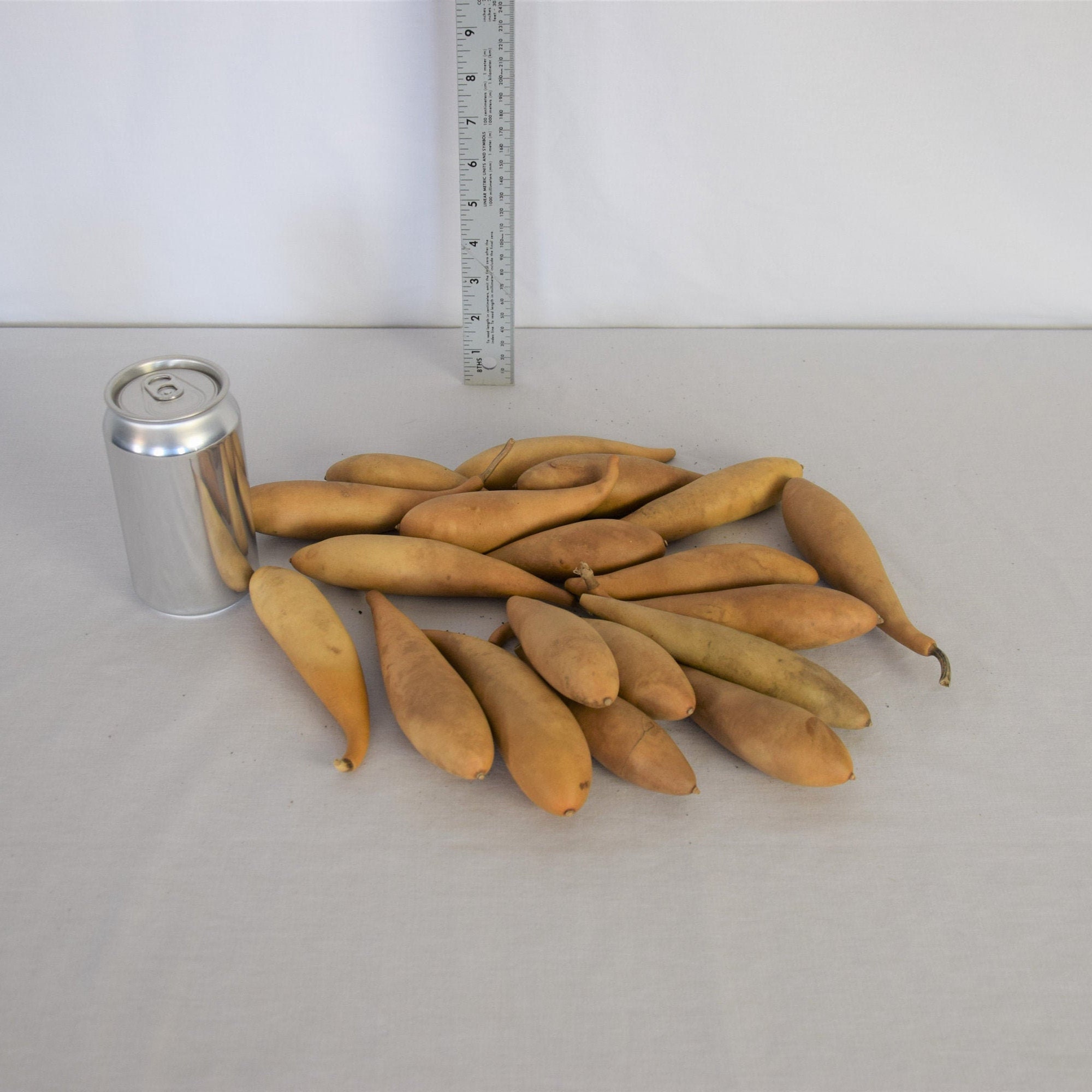 Box of 20 Dried Hard Shell Gourd Bananas - Etsy