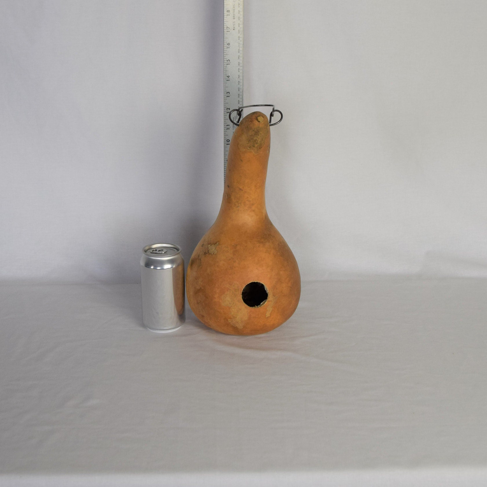 Unfinished Gourd Birdhouse With Hook - Dried and Cleaned for Crafting ...