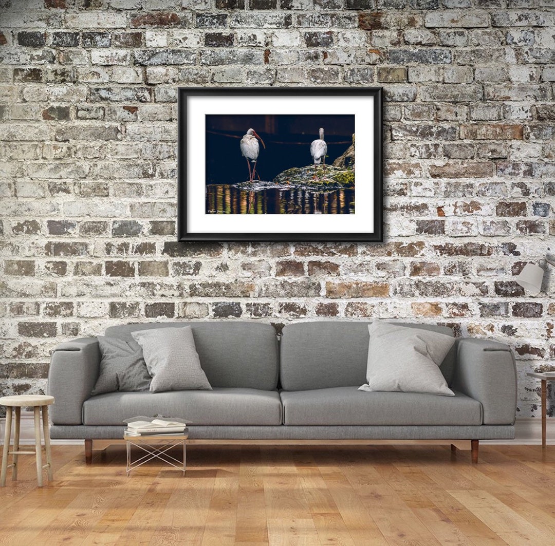 Original 8x10 Bird Photography • Nature Photography • Kitchen ...