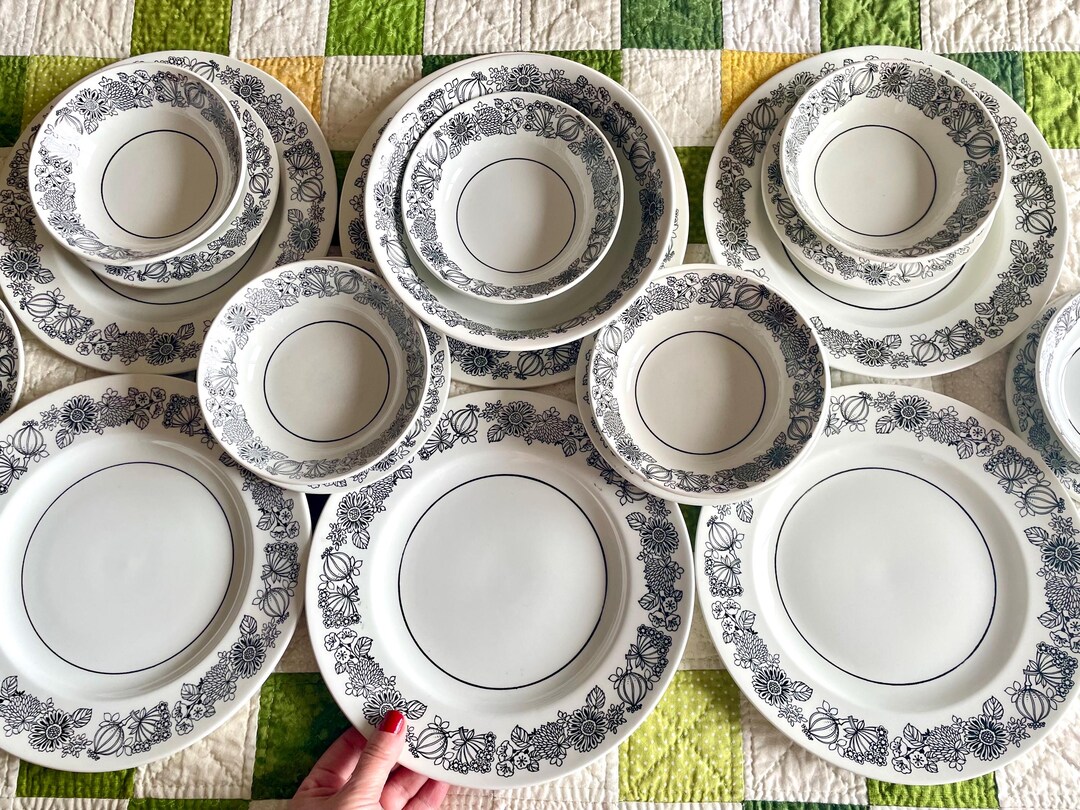 Grindley Manitou Ironstone England Dinnerware Set of 19 Pieces. - Etsy