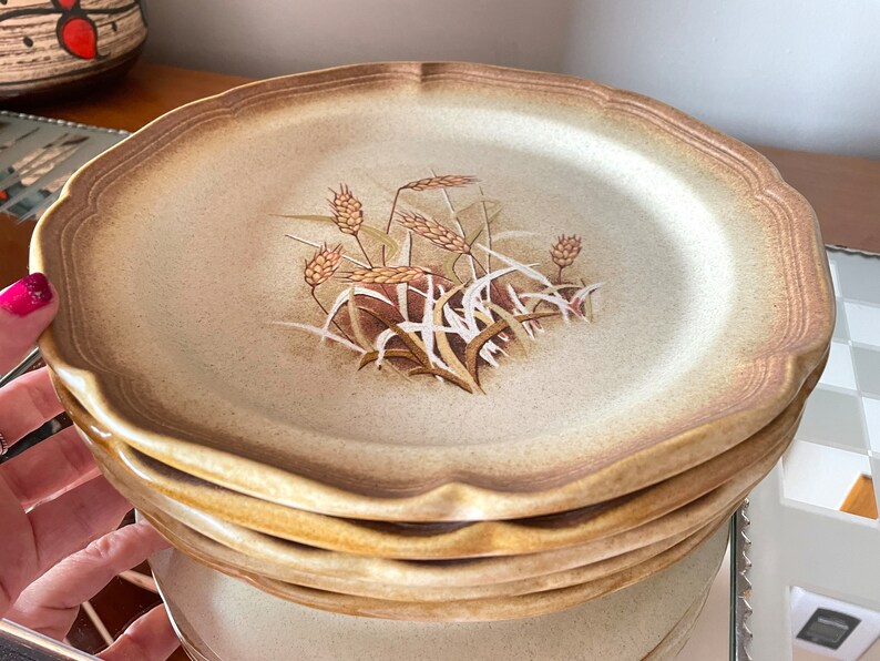 Mikasa Japan Stoneware Tableware- Whole Wheat Series- Set of 5. - Etsy