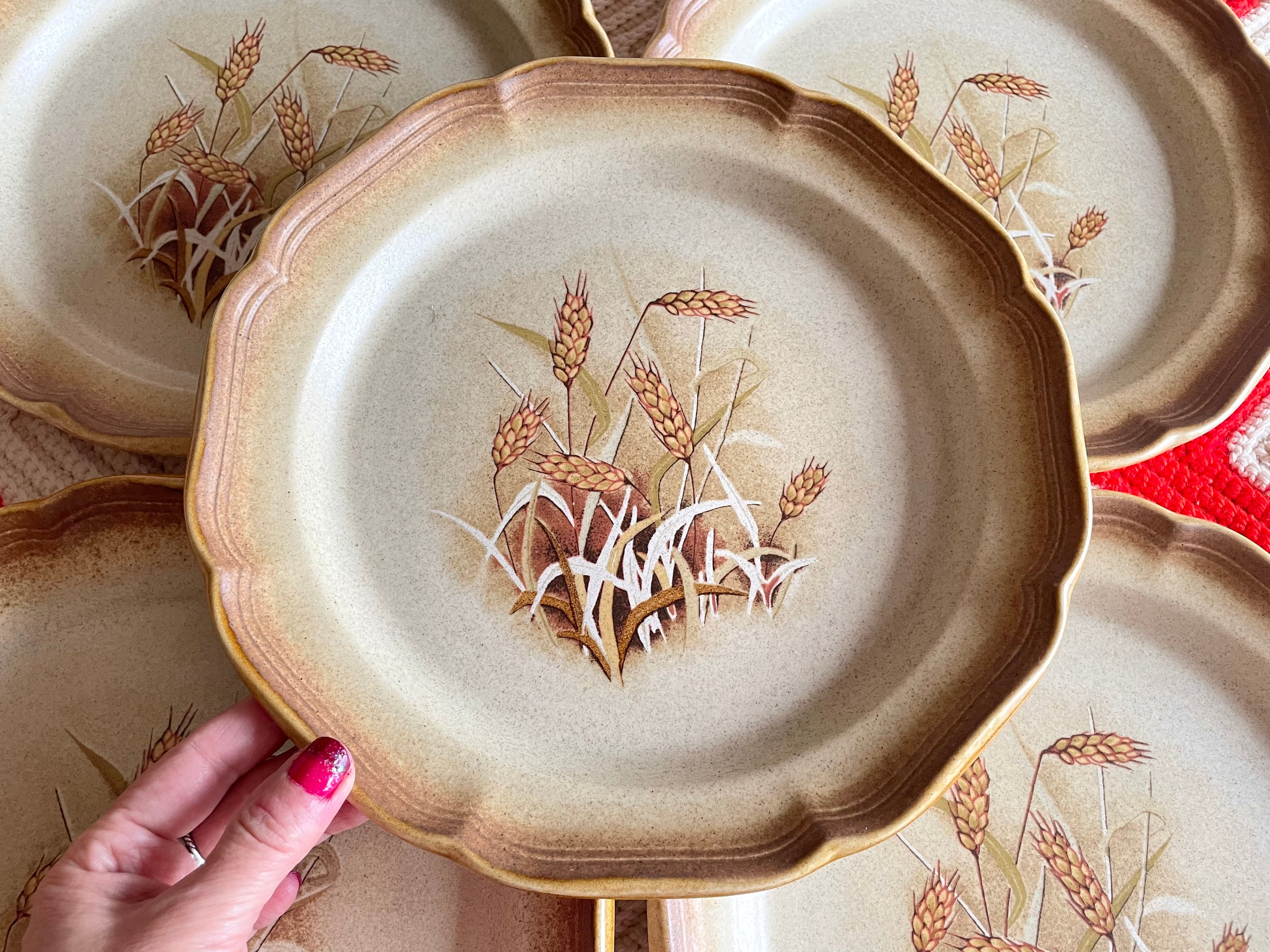 Mikasa Japan Stoneware Tableware- Whole Wheat Series- Set of 5. - Etsy