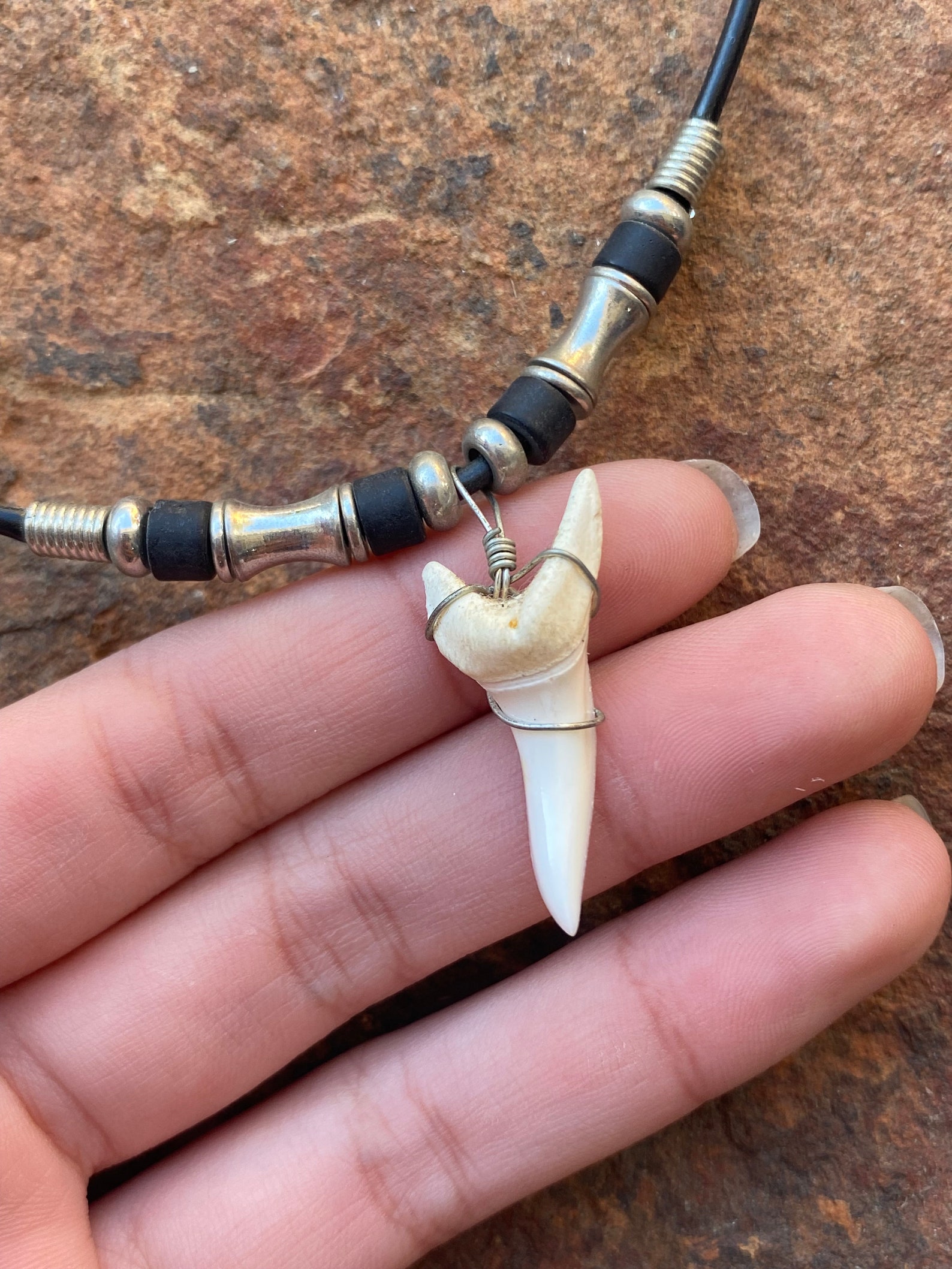 Hawaiian Natural Shark Tooth Pendant With Metal Tube Black Leather 18 ...