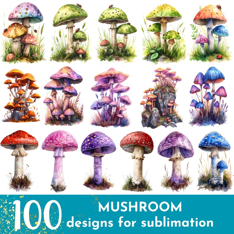 Watercolor Mushroom Clipart – 100 PNG Files, Magic Forest Art (digital ...