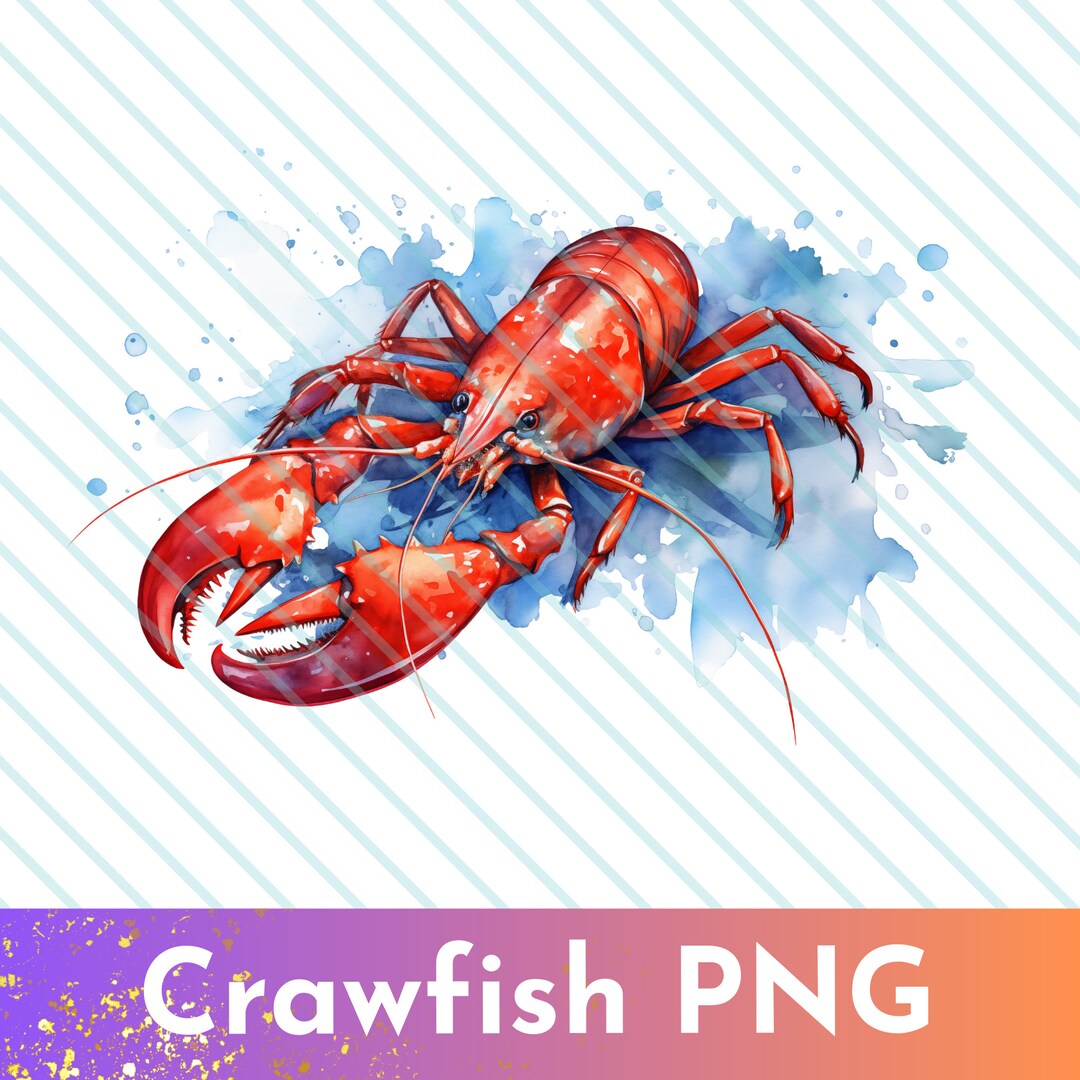 Crawfish PNG Design for Sublimation - Crawfish Season - Crawfish Boil ...