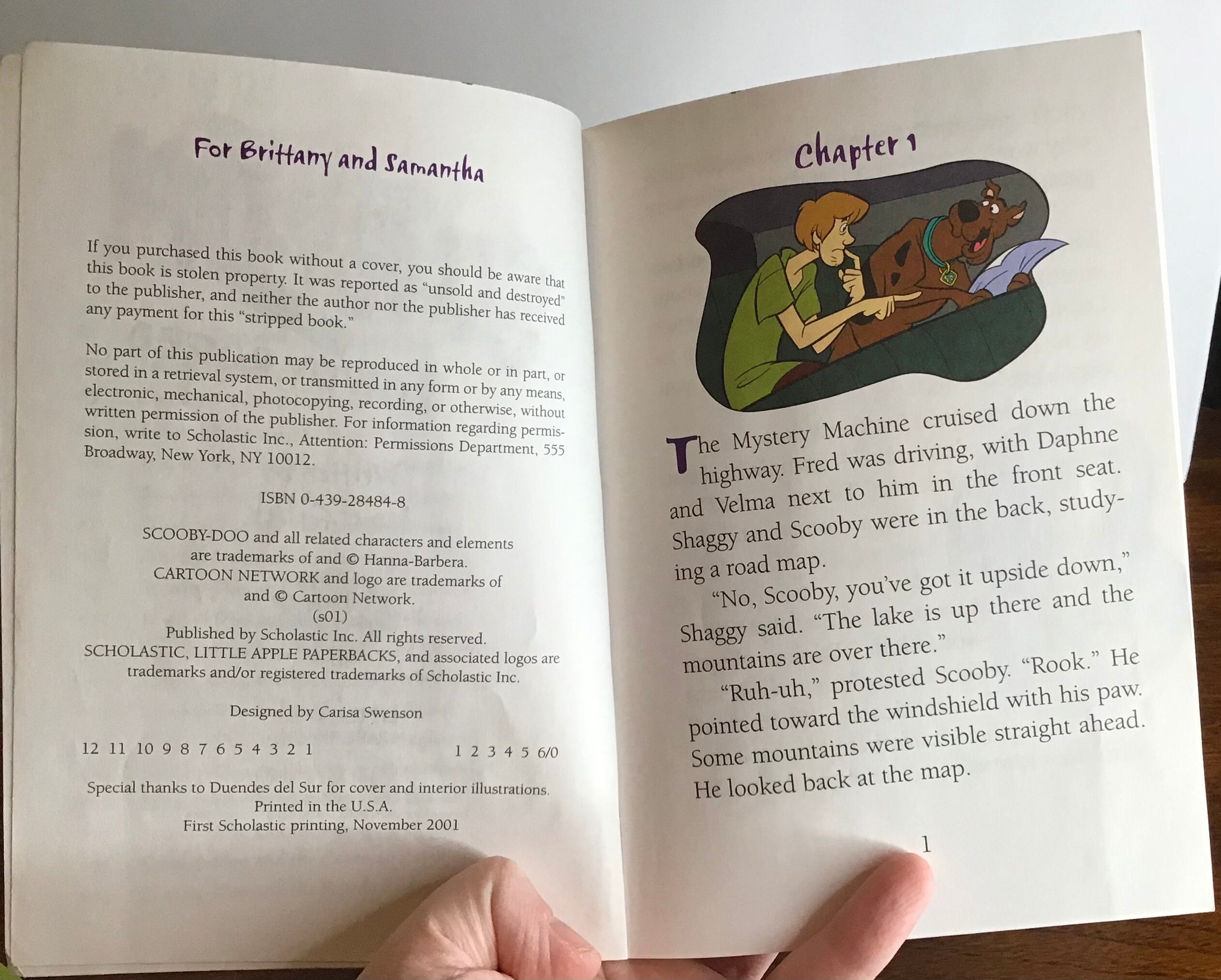 Vintage Scooby-Doo and the Rowdy Rodeo Book Cartoon Network | Etsy