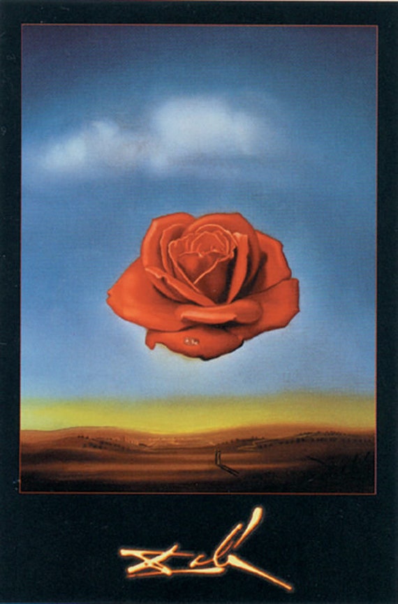 Salvador Dali Paintings Rose