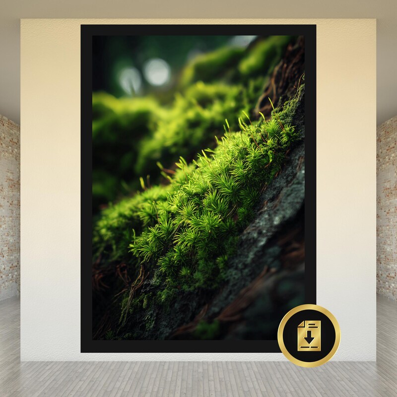 Moss Wall Art - Etsy