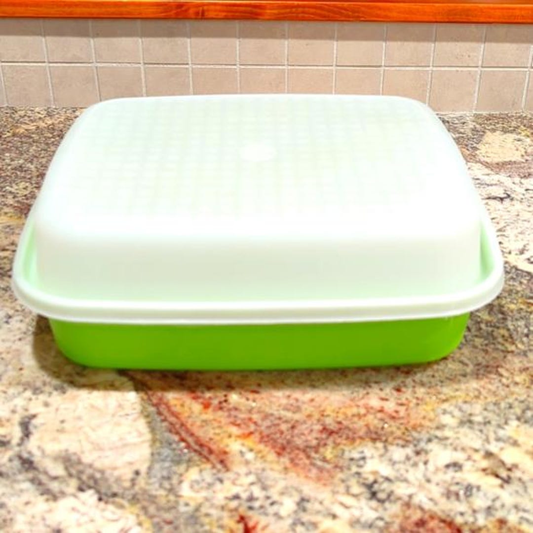 Tupperware Small Season Serve Marinade Container Green With Clear Lid ...