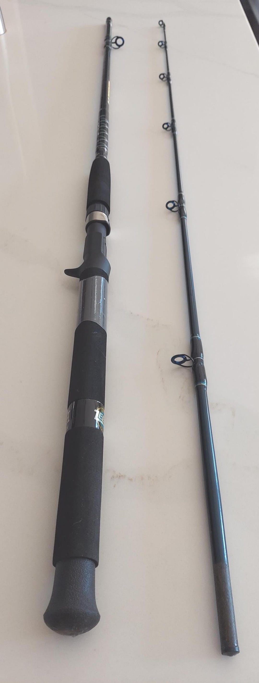 Zebco Saltfisher Trolling, Jigging, Casting Rod - Etsy