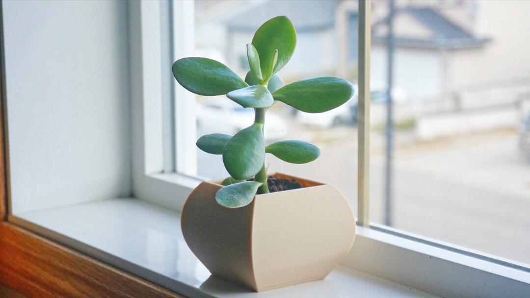 Orchid Planter Pot- Classic Succulent Planter- Japanese Orchid Pot ...