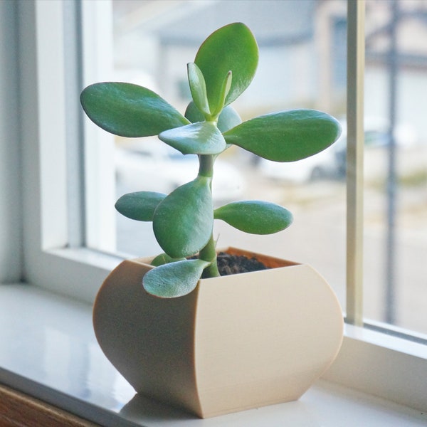 3d Printed Orchid Pots - Etsy