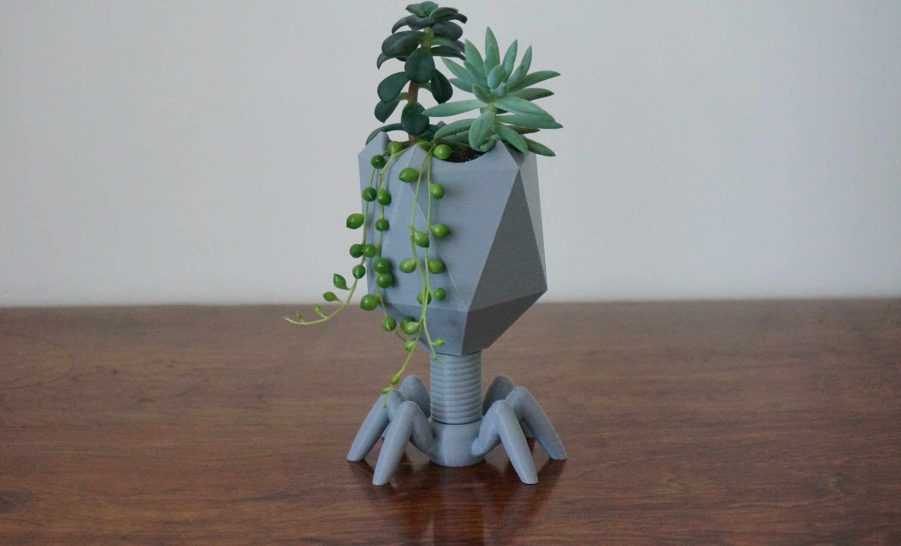 Virus Planter Biology Pen/pencil Holder Gift Bacteriophage - Etsy Australia