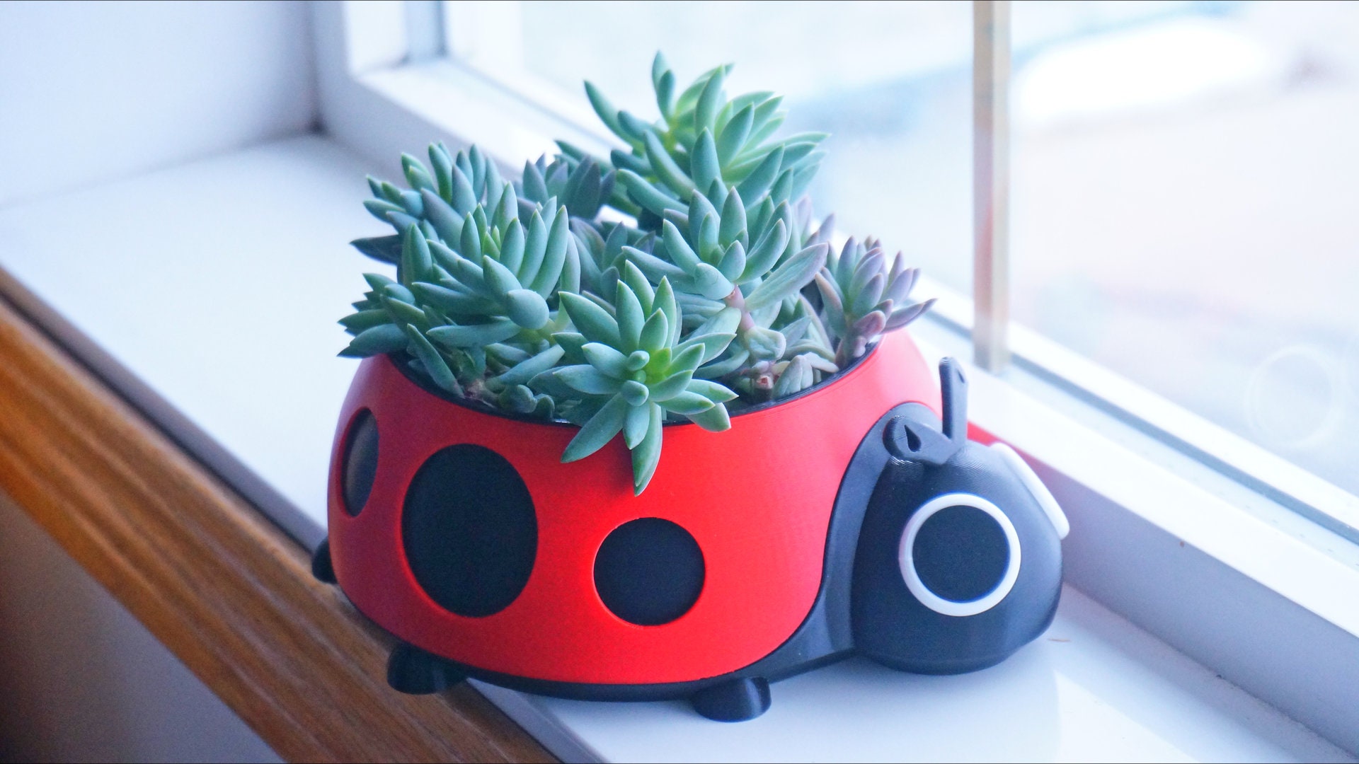 Ladybug Planter: 3D Printed Bug Desk Decor, Office Organizer - Etsy