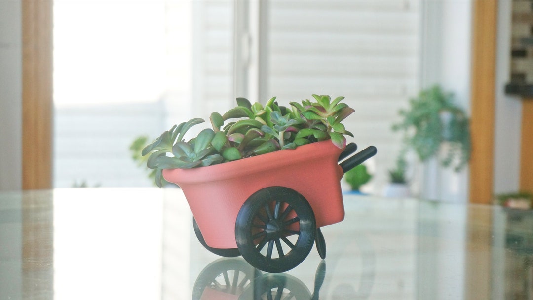 Mini Wheelbarrow Planter: Succulent Plant Pot, Farming Desk Decor - Etsy