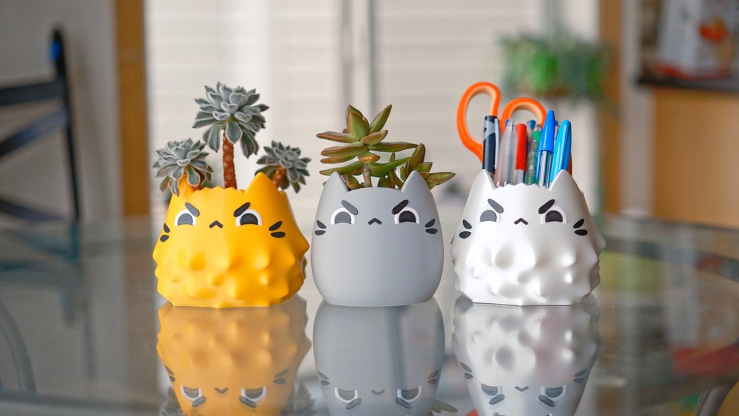 Angry Cat Planter, Grumpy Pen Pencil Holder, Kitty Succulent Plant Pot ...