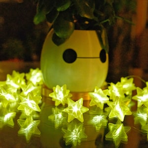 Star Fragment String Lights, Battery or USB Powered LED, Animal ...