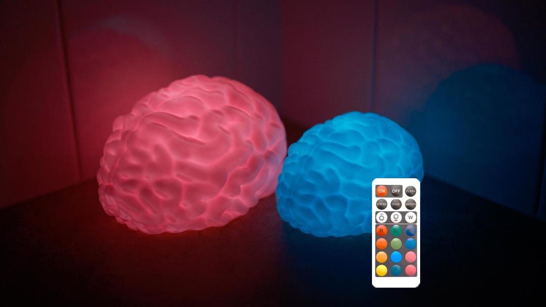 Remote Controlled Brain Light, Halloween Decor Prop, Science Teacher ...