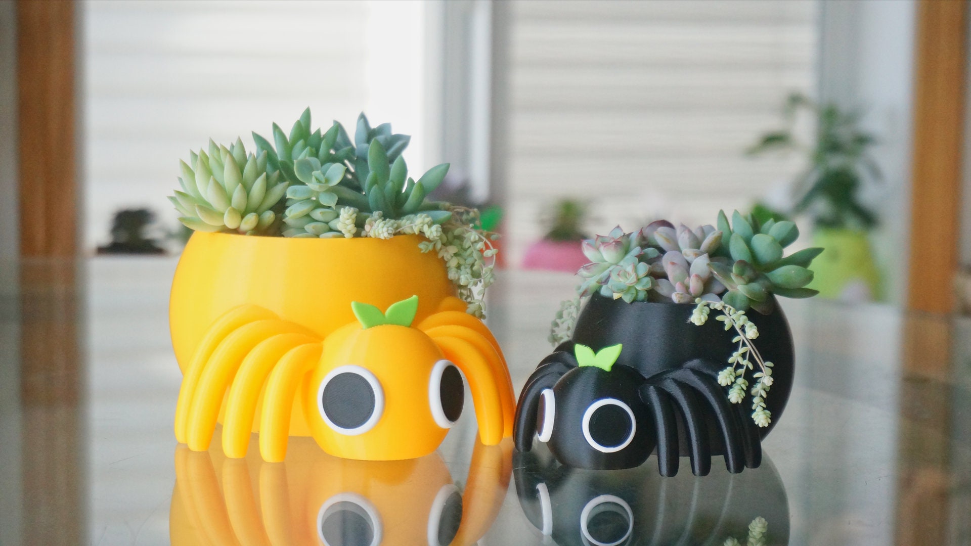 Cute Spider Planter / Pen Pencil Holder Spider Bug Succulent - Etsy
