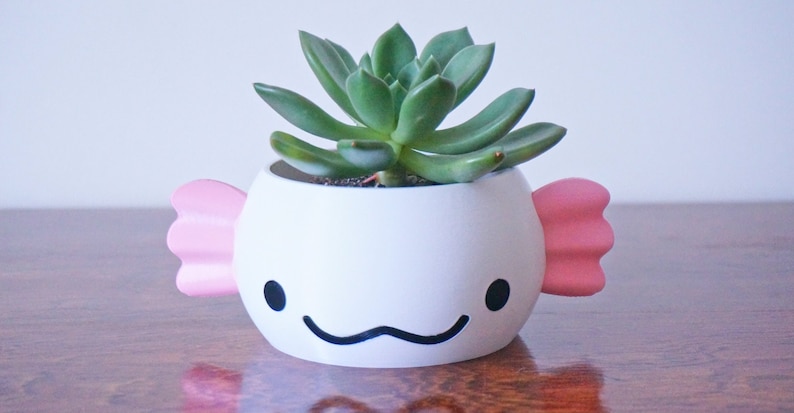 Axolotl Planter or Pen Pencil Holder, Sea Creature Desk Decor, Office ...