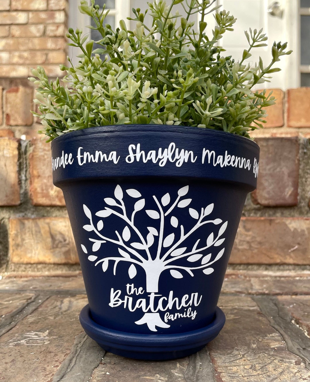 Family Tree | Flower Pot | Family Name | Last Name | Planter ...