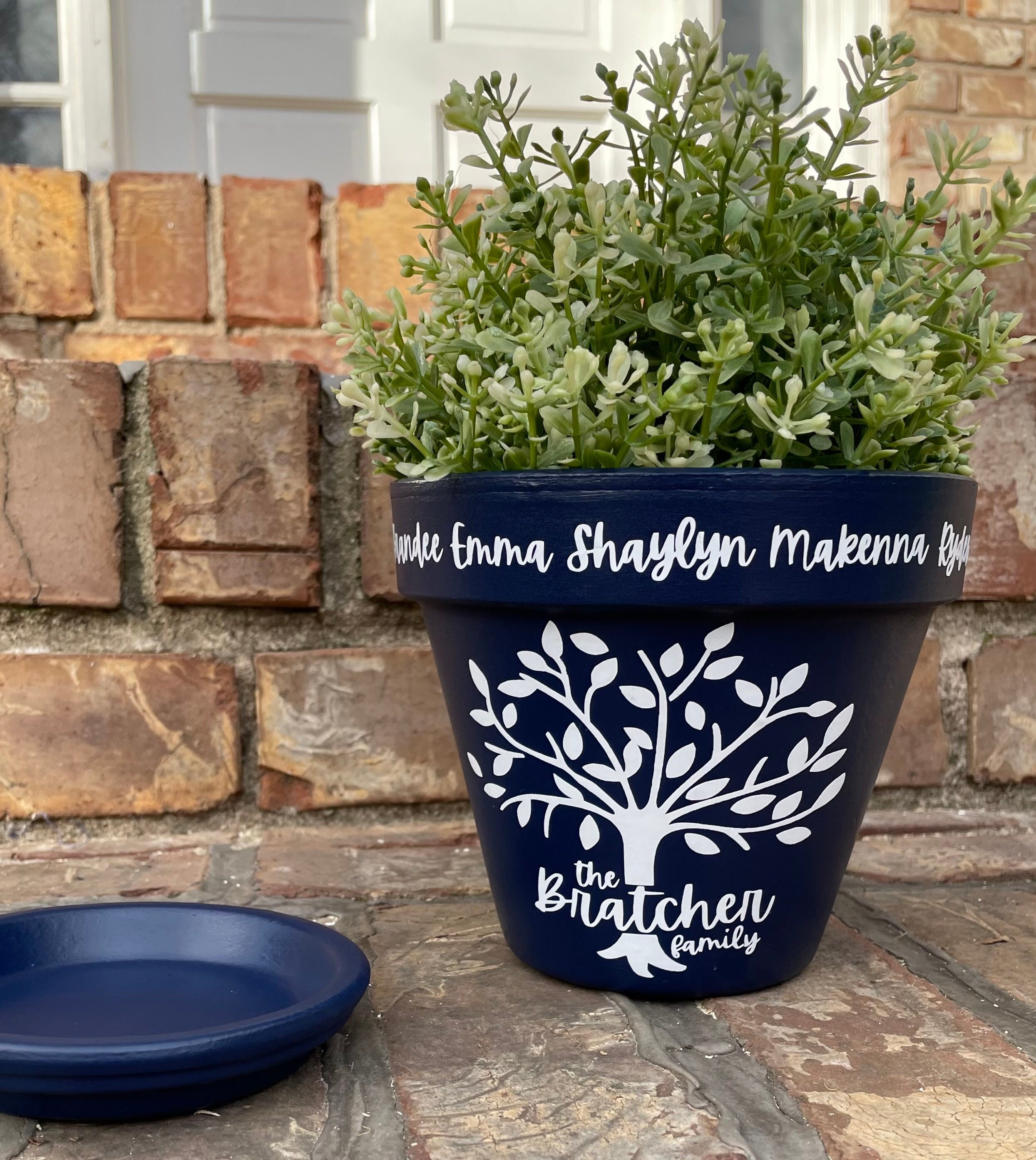 Family Tree Flower Pot Family Name Last Name Planter - Etsy