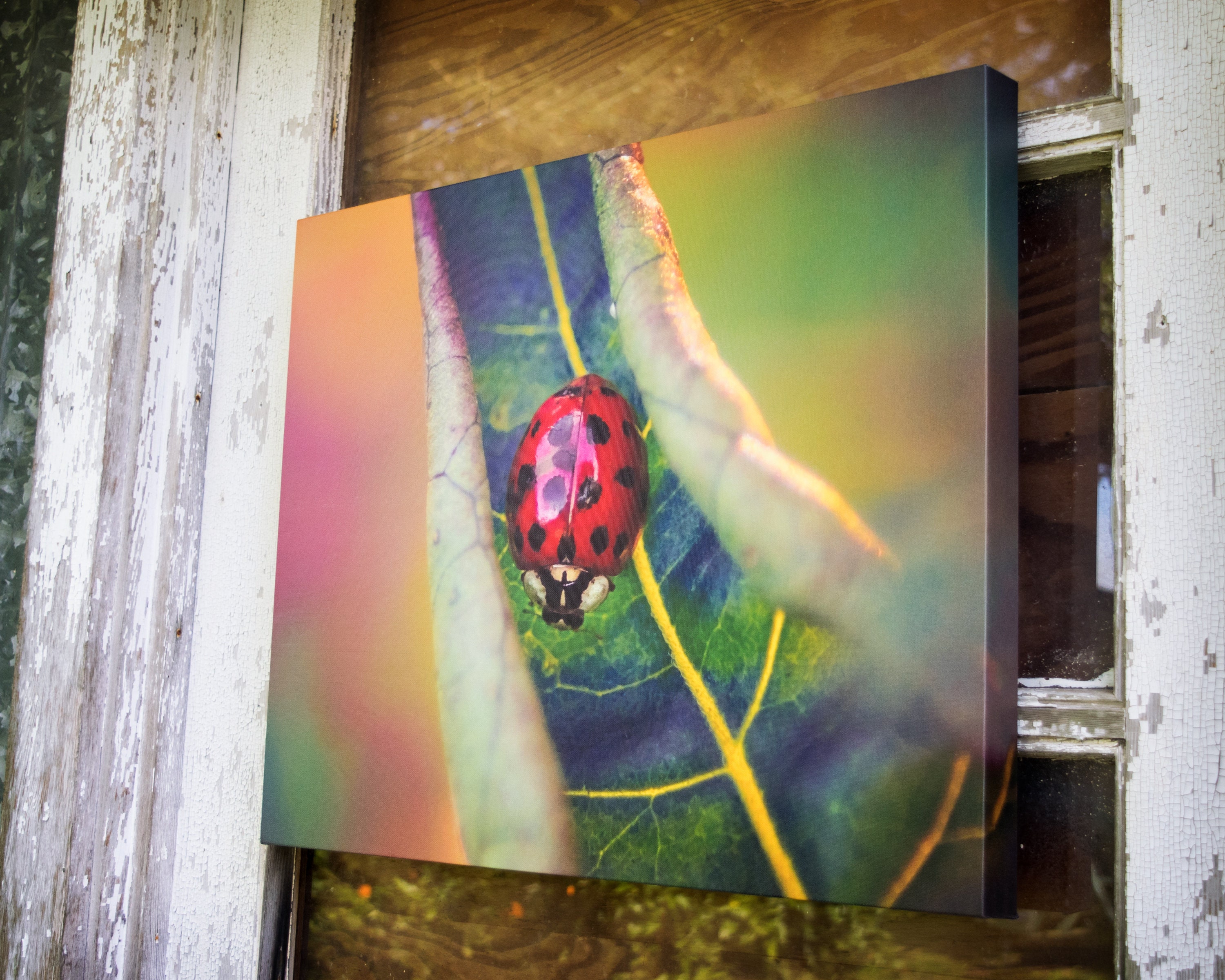 Lovely Lady Ladybug Canvas 16x20 Print - Etsy